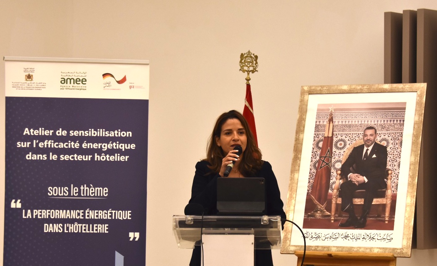 AMEE | Madame la Ministre Leila Benali préside le 3éme atelier de ...